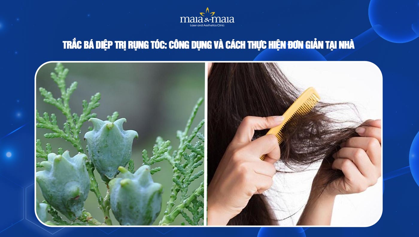 5 cách dùng trắc bá diệp trị rụng tóc và lưu ý khi áp dụng