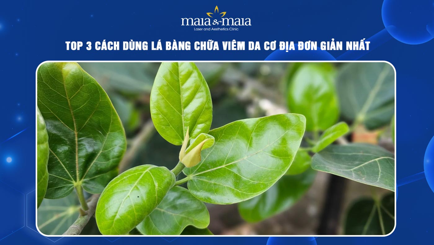 Top 3 cách dùng lá bàng chữa viêm da cơ địa đơn giản nhất